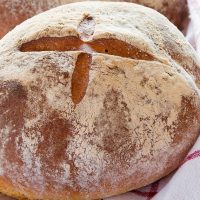Pagnotta - Italian Round Country Bread : Italian Recipe Book