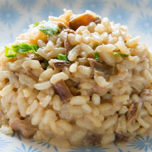 Porcini Mushroom Risotto : Italian Recipe Book