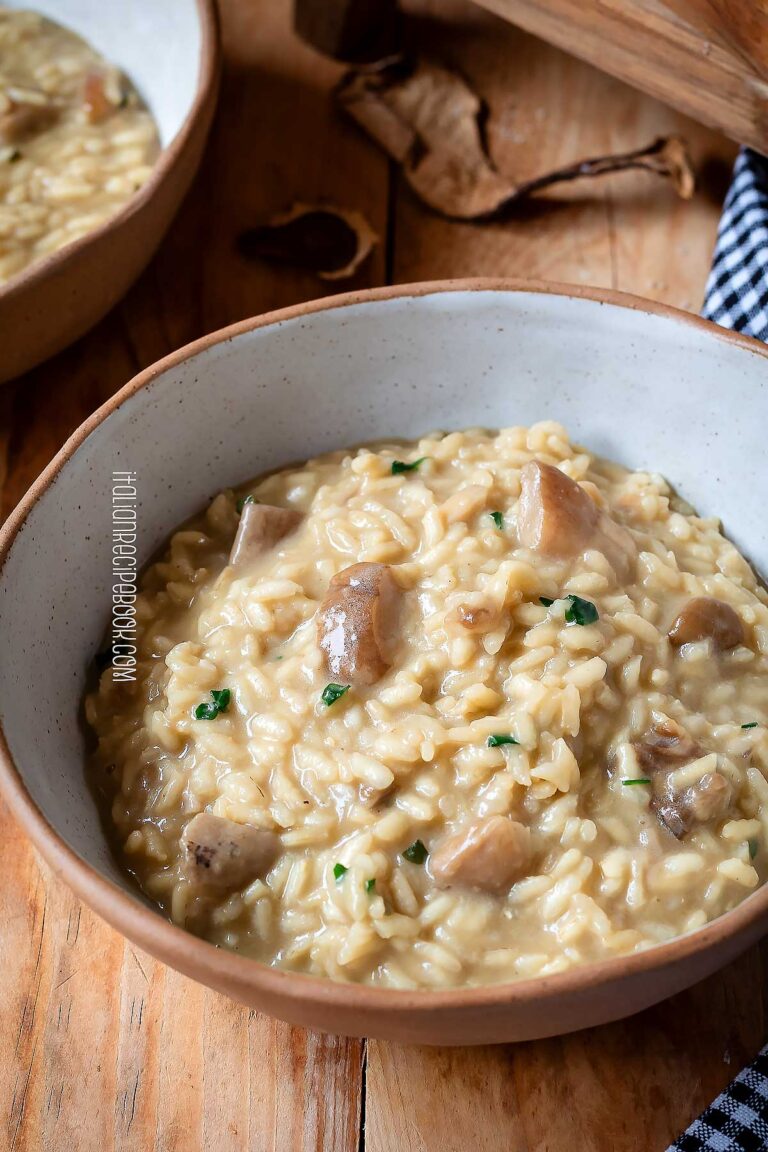 Porcini Mushroom Risotto : Italian Recipe Book