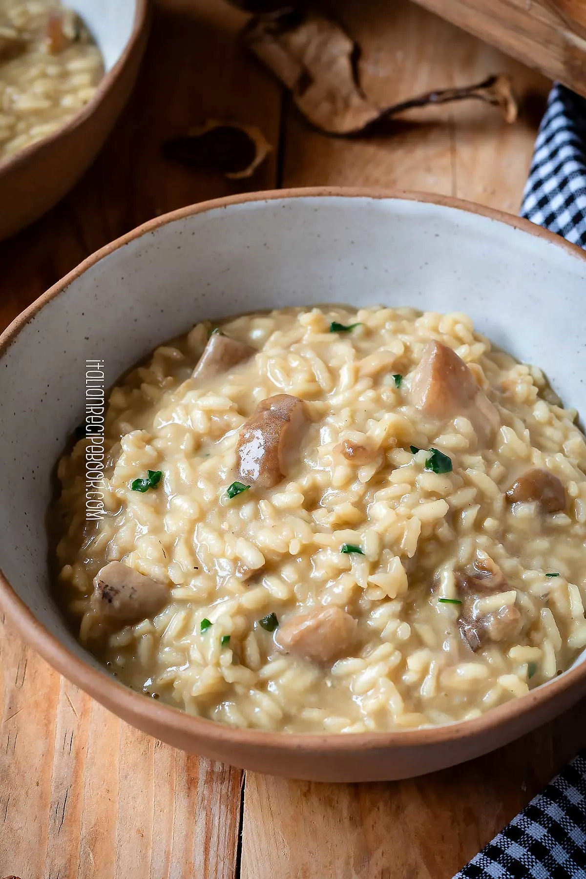 Porcini Mushroom Risotto - Italian Recipe Book