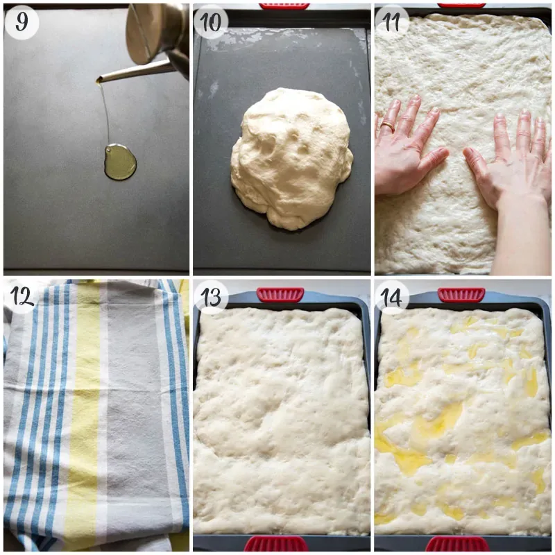 Traditional Focaccia Bread {Focaccia Genovese} - Italian Recipe Book