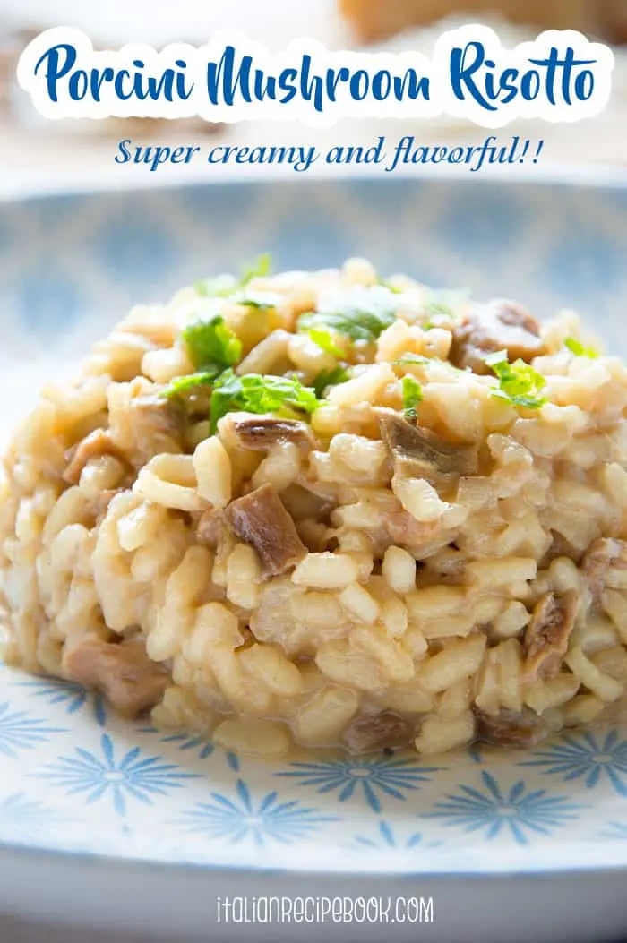 Porcini Mushroom Risotto - Italian Recipe Book
