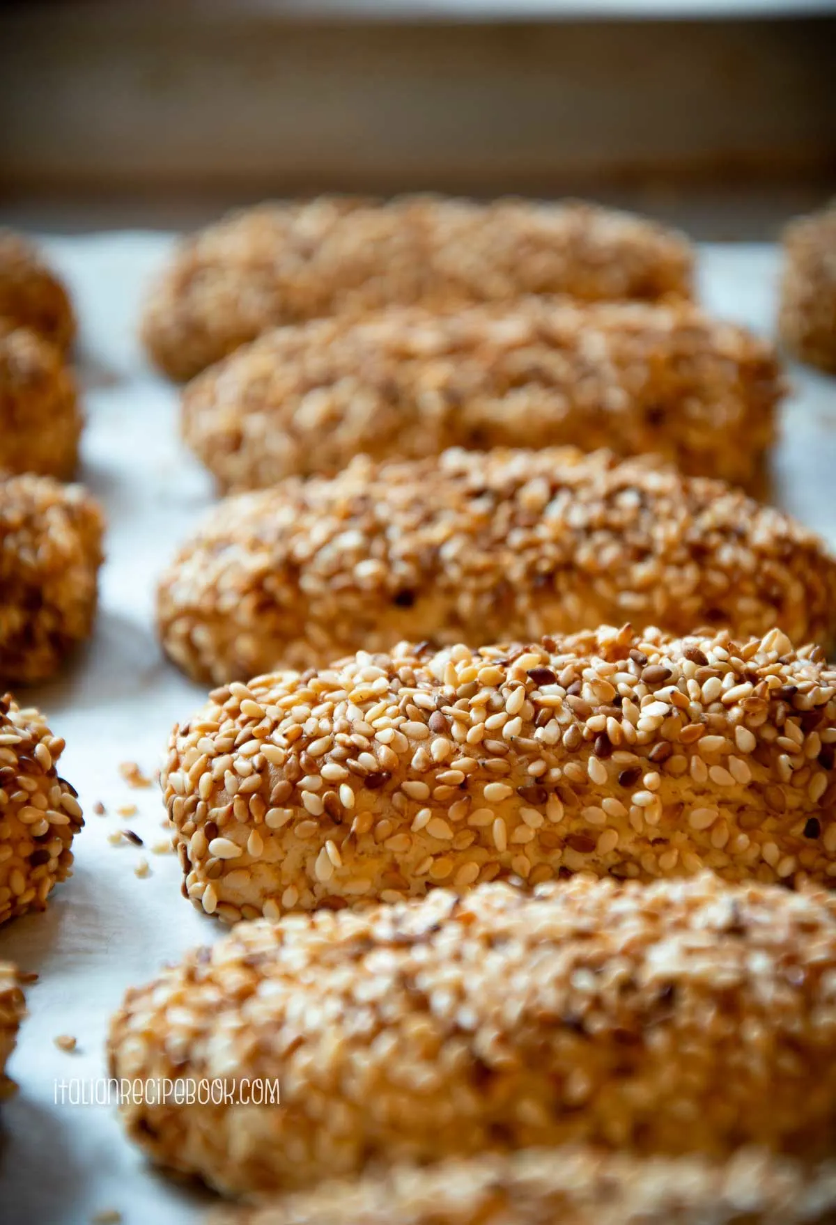 Reginelle {Italian Sesame Cookies} - Italian Recipe Book