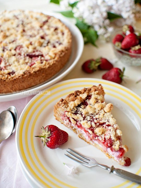 Homemade Recipes For Italian Foodies : Italian Recipe Book