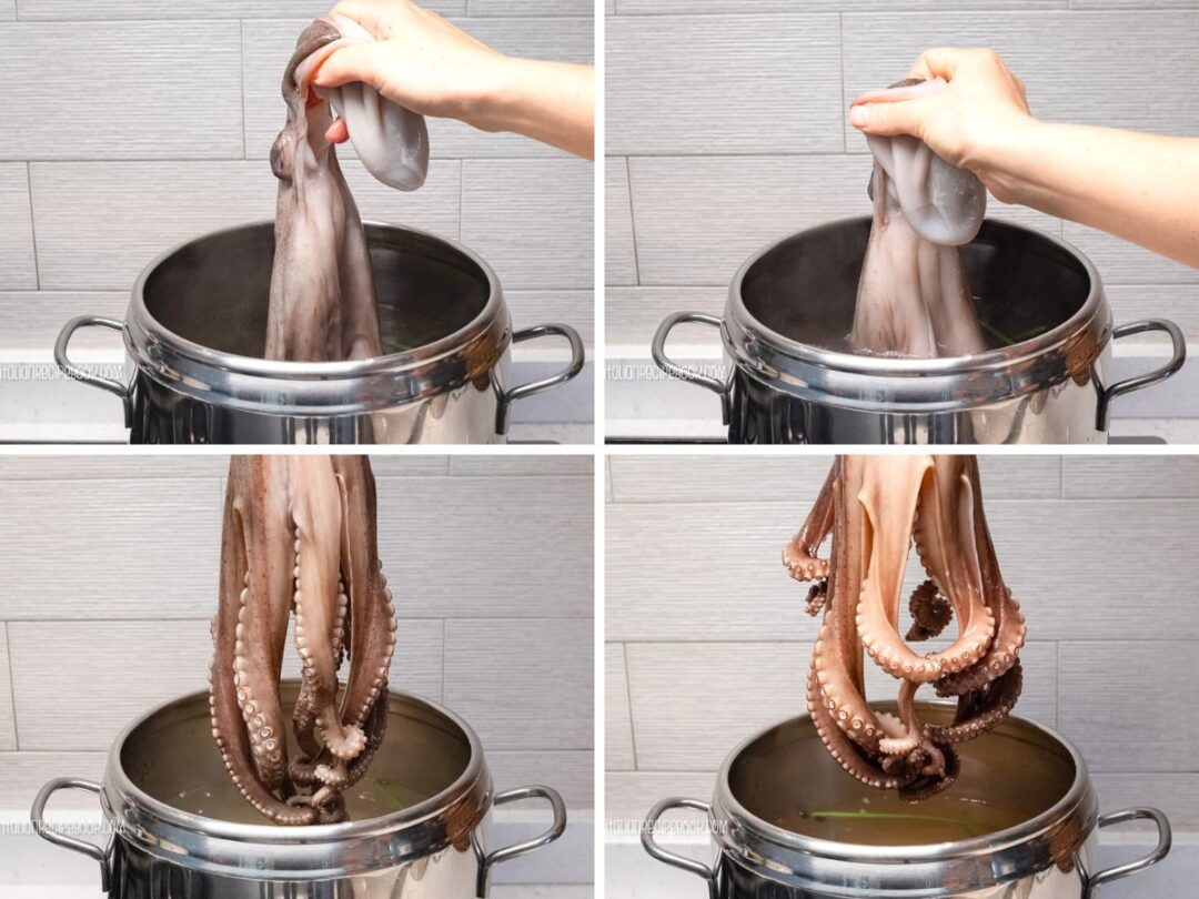 Italian Octopus Salad : Italian Recipe Book