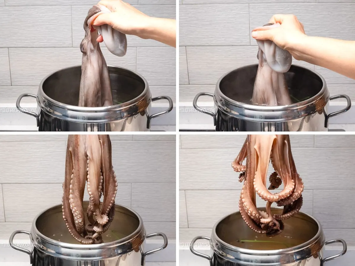 Melt-in-the-mouth Octopus Salad - Italian Recipe Book