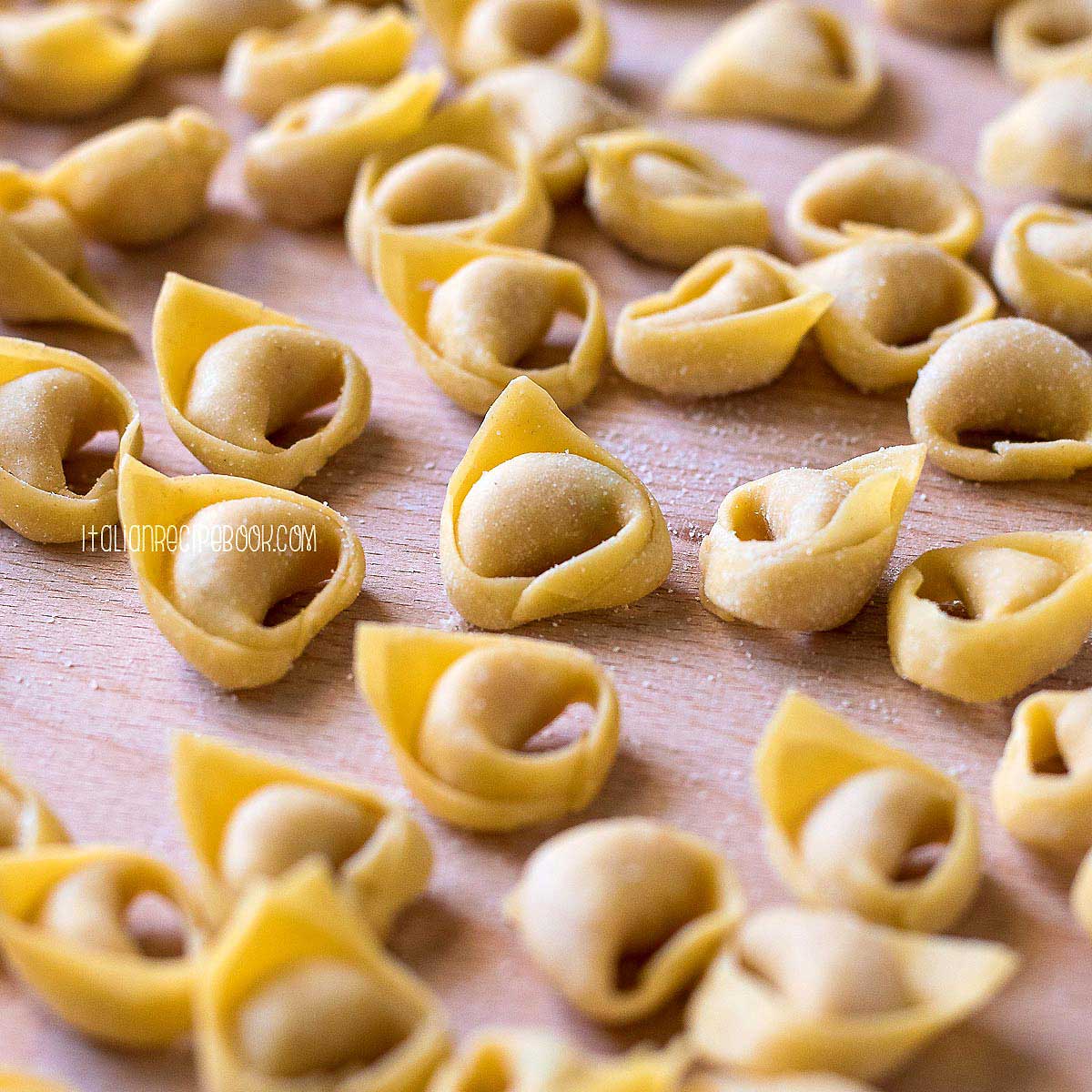 Homemade Recipes for Italian Foodies : Italian Recipe Book