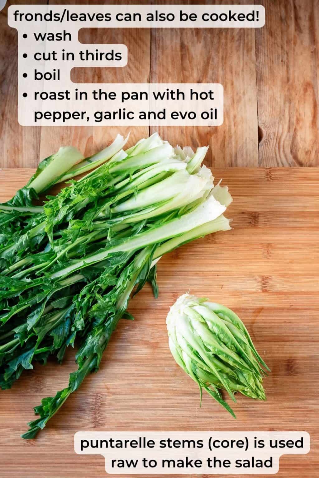 Puntarelle Alla Romana : Italian Recipe Book