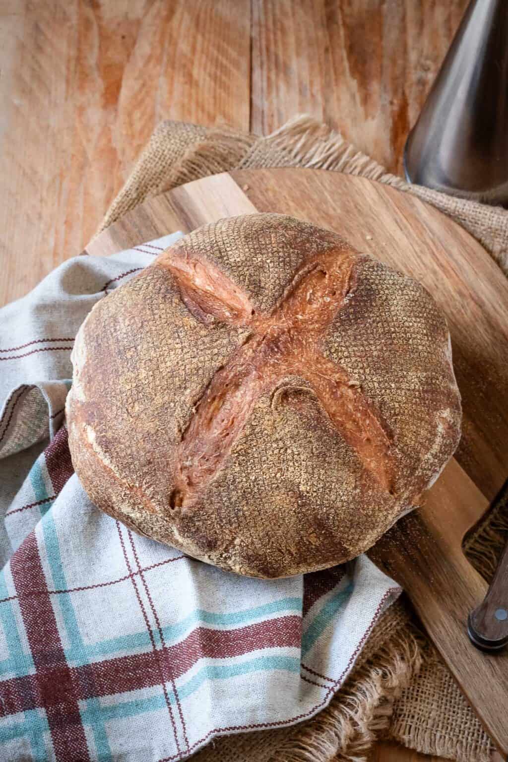 Pugliese Bread : Italian Recipe Book